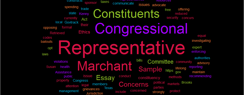 Essay Sample: Congressional Representative and Constituents’ Concerns