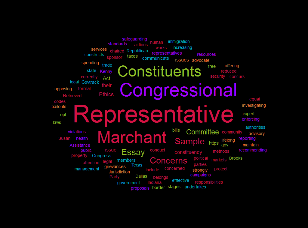 Essay Sample: Congressional Representative and Constituents’ Concerns